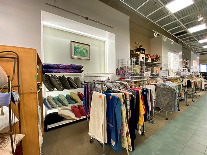 The textile section: where pillows and linens await their chance to transform your couch from "meh" to magazine-worthy.