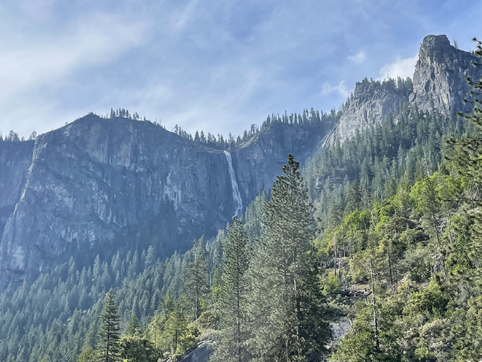 The perfect frame: Towering pines stand sentinel around Yosemite Valley, with Bridalveil Fall playing hide-and-seek between their branches.