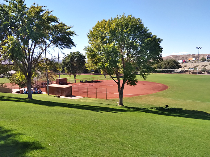 Green athletic fields stretch beneath desert skies where community sports happen without requiring luxury box seats to watch.
