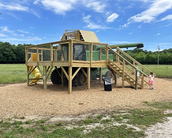 Even the playground understands the farm-to-cone concept, giving kids a taste of agricultural life between sugar rushes.