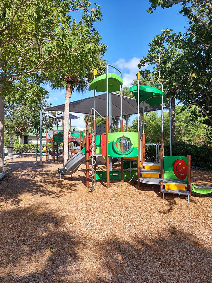 Where kids burn energy before parents earn their afternoon nap. This playground offers a brief sand-free interlude during beach day.