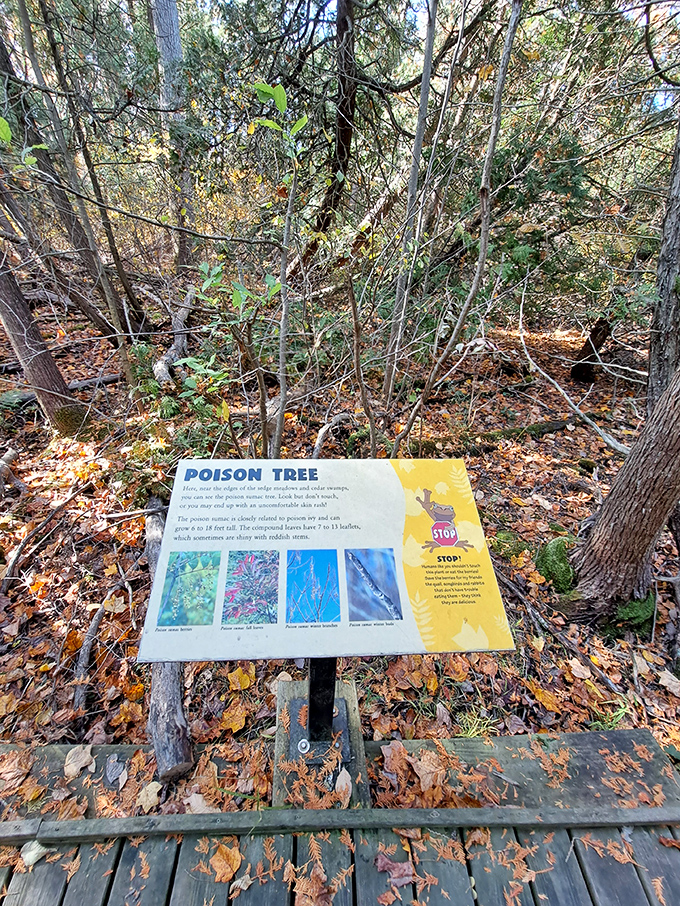 Nature's warning system. The preserve doesn't shy away from identifying its hazards, including this informative sign about poison trees that visitors should admire from a distance.