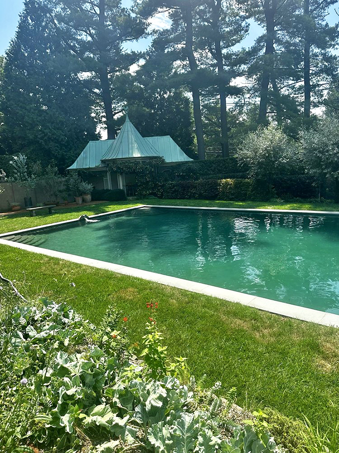 The pool reflects perfection so clearly, Narcissus would have never left this spot.