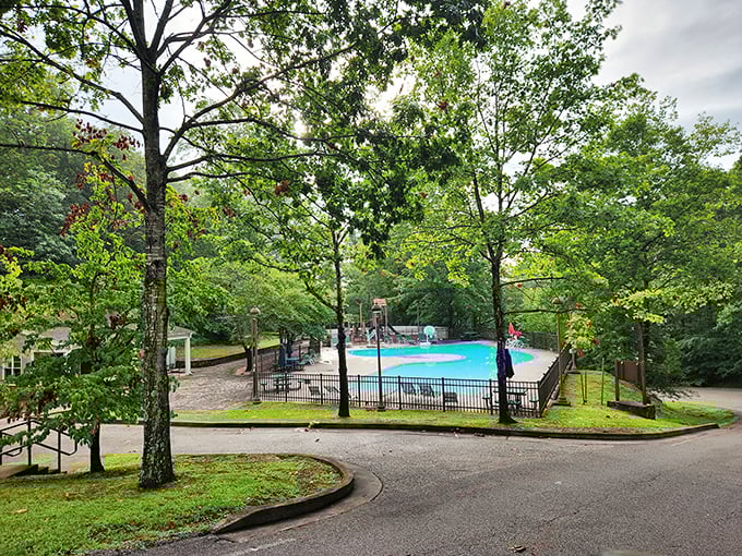 A swimming pool surrounded by more green than in most people's retirement portfolios. Refreshing dips with mountain views included.