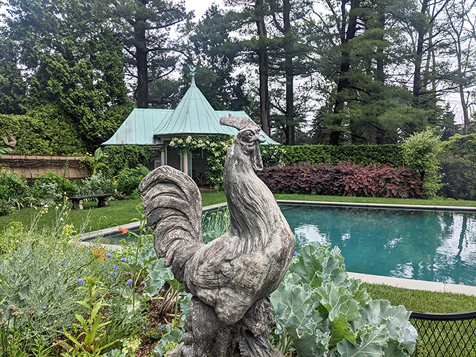 Even the rooster statue seems impressed by the pool's perfect blue&mdash;a garden feature that whispers "luxury" without shouting "pretentious."