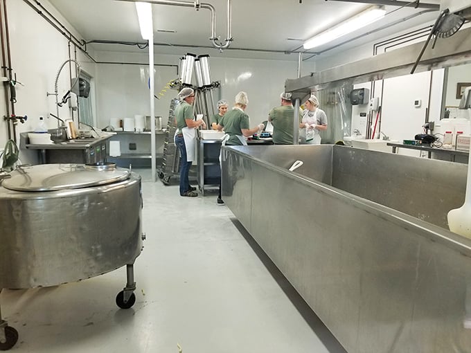 Where the magic happens! This spotless production area transforms liquid gold into cheese treasures through equal parts science and wizardry.