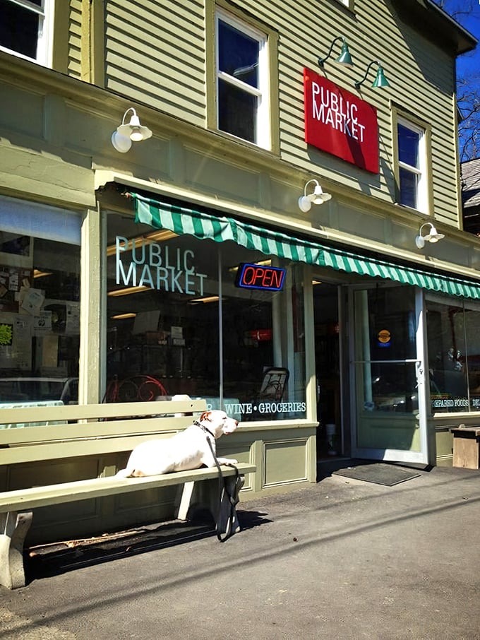The Public Market, complete with canine greeter, offers that perfect blend of necessity and nostalgia that defines small-town shopping.