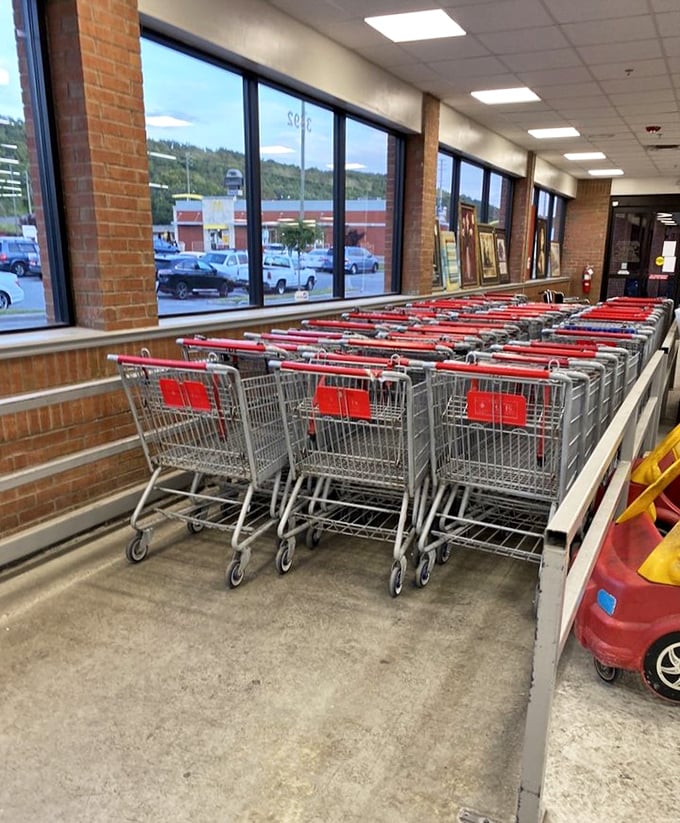 Shopping carts lined up like eager steeds, ready to help you navigate the treasure-filled aisles of bargain paradise.