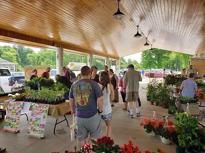 The farmers' market buzzes with activity, where locally-grown produce costs less than those fancy supermarket vegetables with their own biography cards.