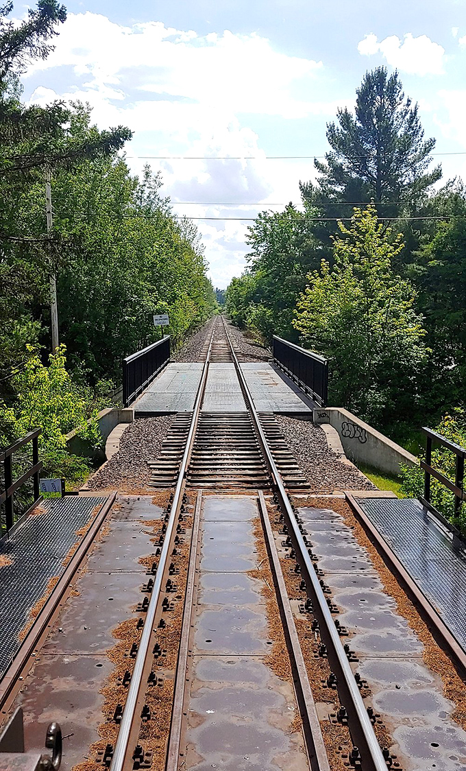 The tracks stretch ahead like nature's invitation, a green corridor promising adventures that no highway could ever deliver.