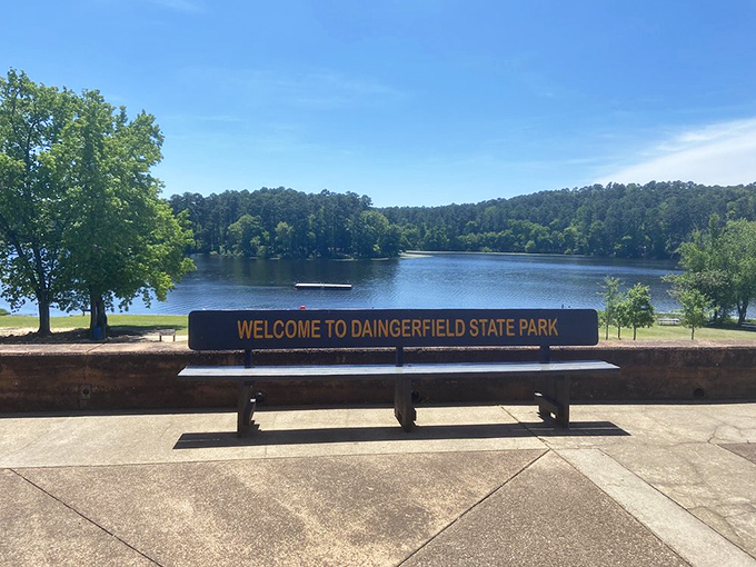 The most honest bench in Texas. It doesn't just offer a view&mdash;it announces exactly what you're getting. Truth in advertising!