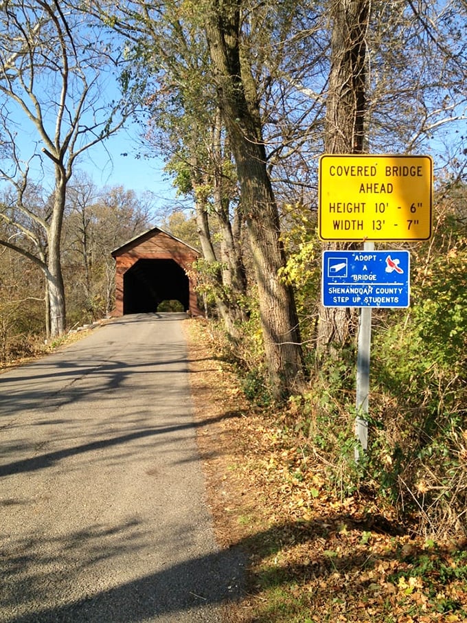 Warning signs that feel more like invitations to adventure. Height restrictions apply, but wonder comes in unlimited supply.