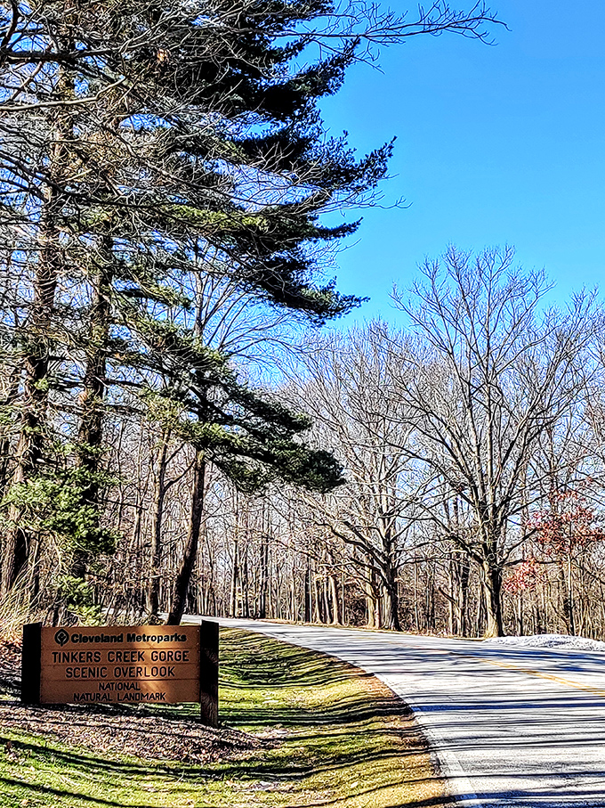 The roadside sign that promises little but delivers everything—nature's version of underpromising and overdelivering.