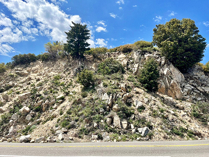 Nature's geology lesson on display: millions of years of mountain-making visible from your car window.