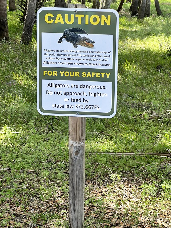 Warning signs that remind you this isn't Disney &ndash; these animals don't sing, dance, or pose for selfies. Respect required.