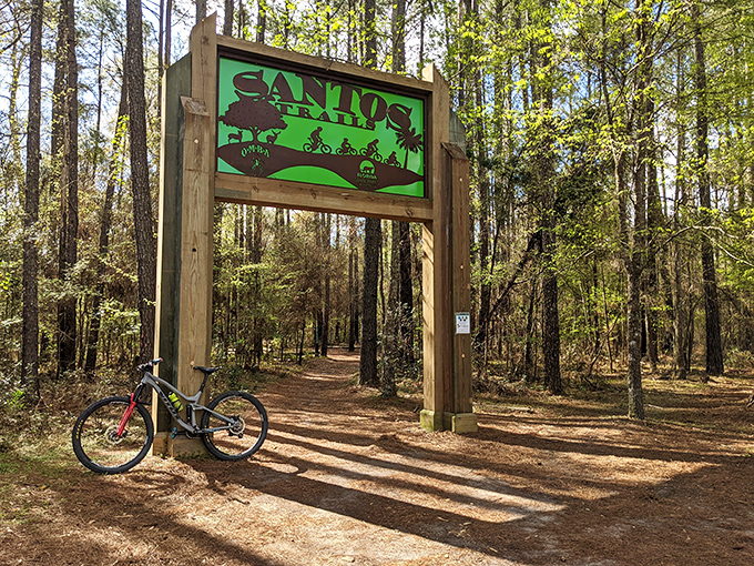 Santos Campground welcomes trail enthusiasts with a gateway to adventure – proof that Florida's natural beauty extends far beyond its famous beaches.