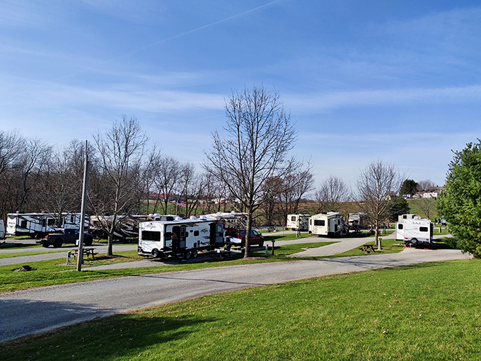 RV camping with views that make you wonder why anyone needs a five-star hotel.