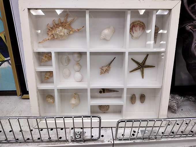 Nature's artwork carefully arranged – someone's beach vacation memories becoming your next bathroom decoration.