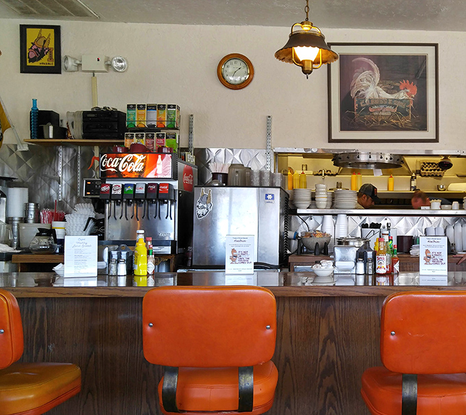 The counter view reveals the diner's beating heart—where plates appear with magical timing and coffee cups never reach empty.