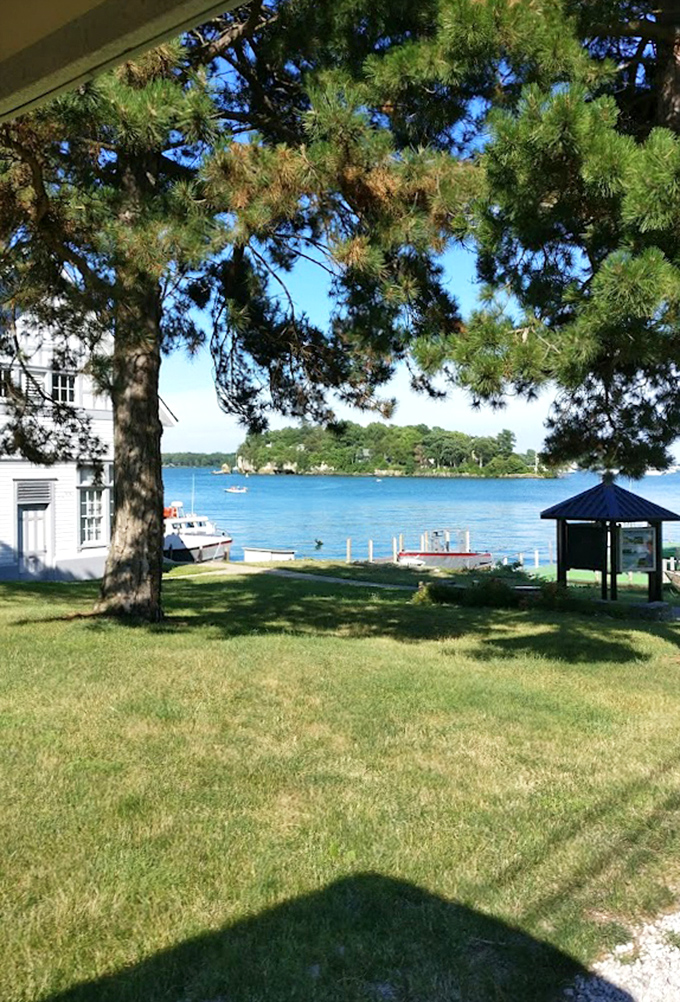 That perfect spot where shade meets shoreline. The tree's gentle protection creates nature's own VIP lounge for overheated summer visitors.