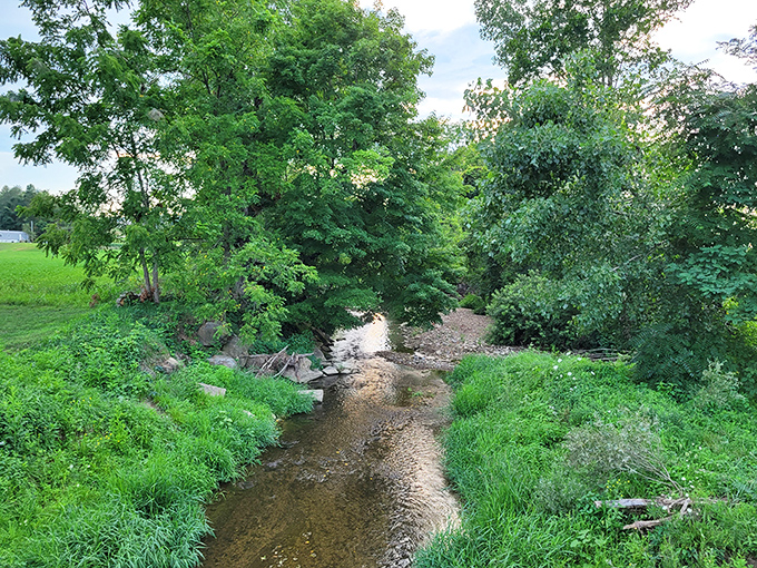 This modest stream might seem unremarkable until you realize it's the lifeblood of the surrounding farms, quietly sustaining the landscape.