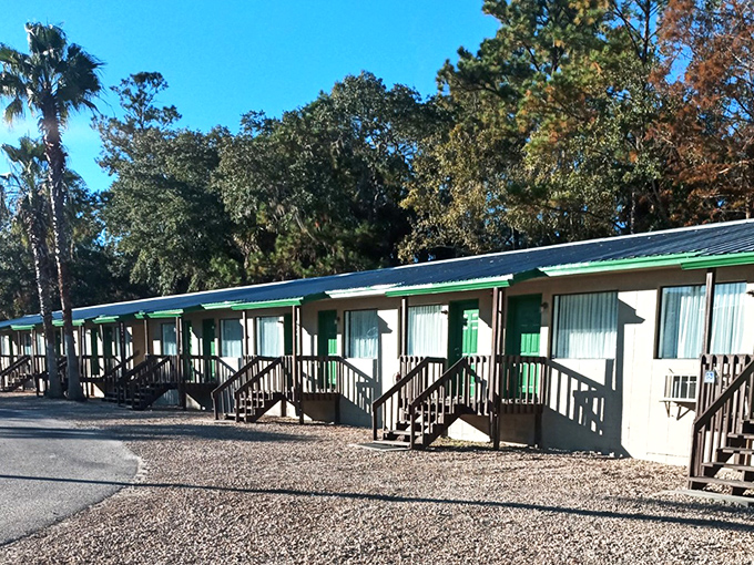 No-frills accommodations with million-dollar views&mdash;these fishing camp cabins have witnessed more "big catch" stories than any fishing magazine.