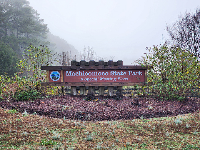 Foggy mornings transform the park entrance into something mystical. The sign doesn't just mark a location&mdash;it promises an experience.