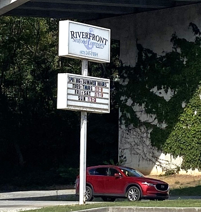 The sign promises seafood in the mountains &ndash; a concept so unlikely it has to be experienced to be believed.