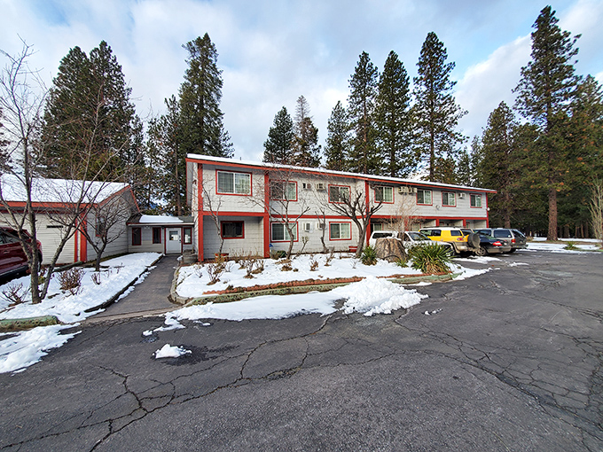 Winter at the Sis Q Inn means affordable comfort with a side of snow. Where "luxury accommodations" means actual parking spaces right outside your door.