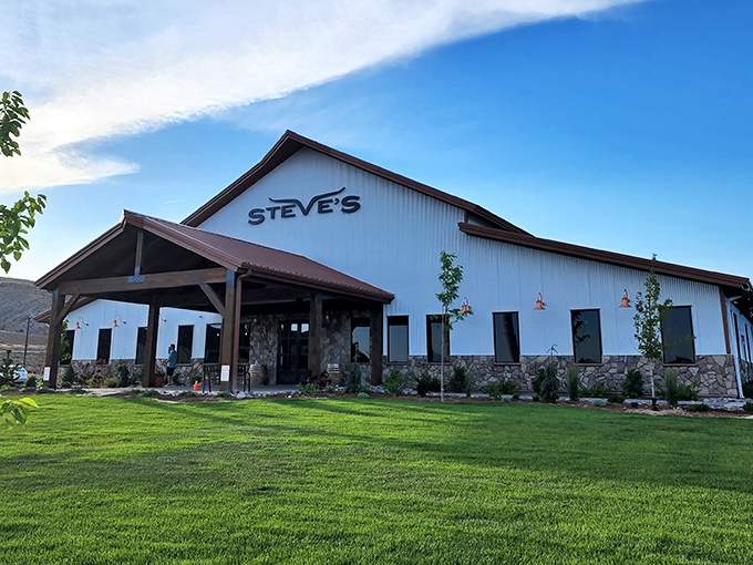 Steve's Steakhouse stands ready to answer humanity's eternal question: "Where can I get a proper steak around here?" 