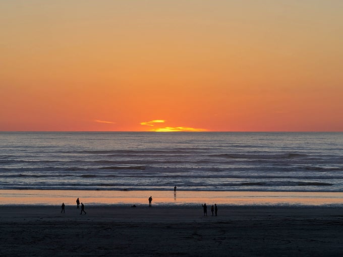 Pacific Beach sunsets perform their nightly magic show, turning the horizon into a canvas of orange and gold that makes even smartphone photographers look professional.