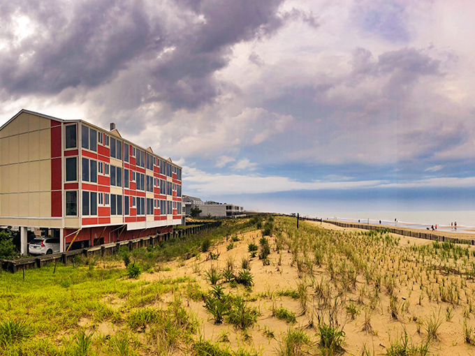 The Surf Club Hotel stands ready for visitors who prefer their beach views with actual walls and working showers.