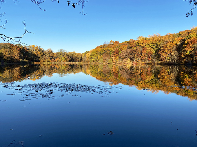 Swan Lake's mirror-like surface perfectly captures fall's fiery palette, creating a double dose of nature's most spectacular seasonal show.