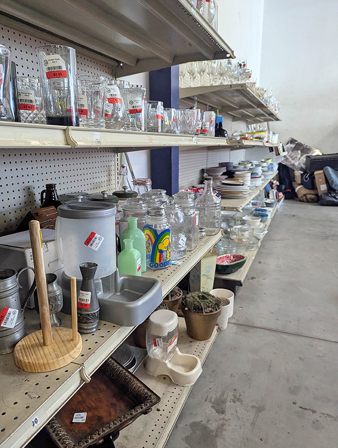 Glassware galore! From everyday juice cups to fancy champagne flutes that have toasted who-knows-what special occasions.