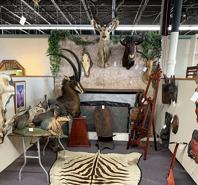 The taxidermy room: where the wild things are... and stay... forever. A safari without the airfare or mosquito repellent.