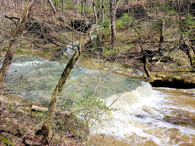 The Cascades live up to their name, water tumbling over ancient limestone. Nature's soundtrack here has been playing on repeat for centuries.