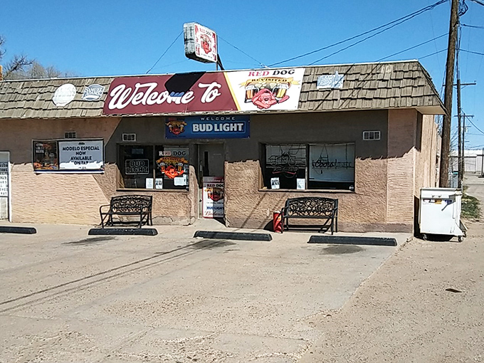 The Red Dog Saloon isn't trying to be trendy&mdash;it's the real deal, where the beer is cold, the welcome is warm, and nobody cares about your Instagram followers.