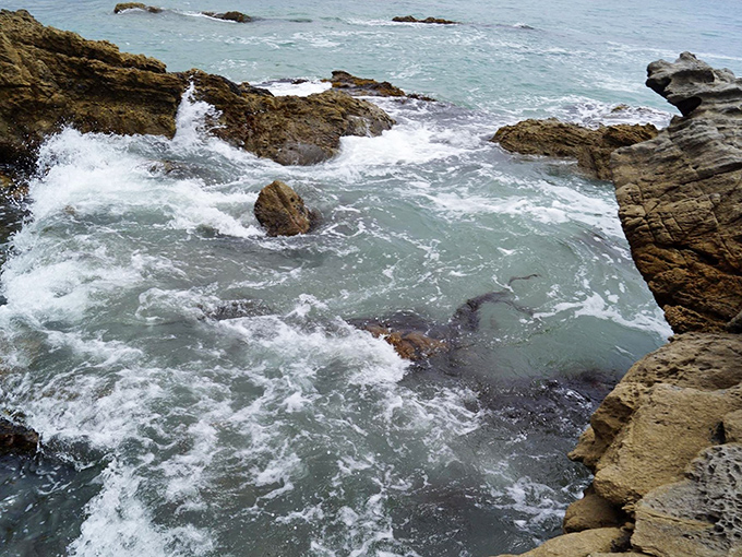 The ocean's retreat reveals a world between worlds. These tide pools host miniature ecosystems that change with each ebb and flow.