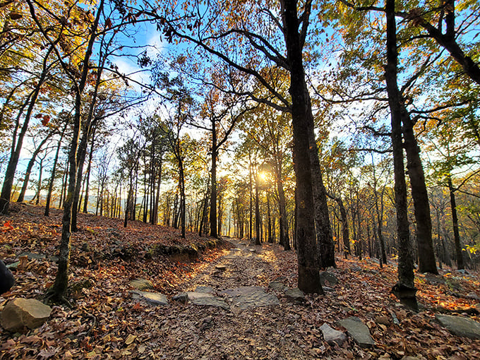 Golden hour on the trail &ndash; when the setting sun transforms an ordinary forest path into a scene from a fantasy novel.