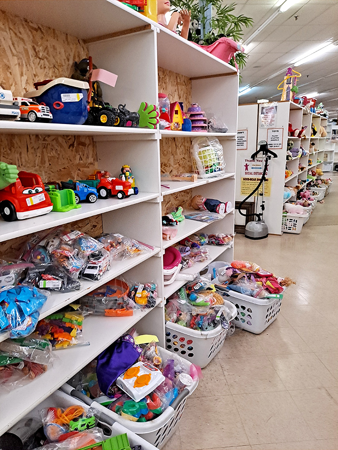 Toy paradise where childhood dreams come true without breaking the bank. These shelves hold more potential joy per square inch than anywhere else in the Ozarks. 