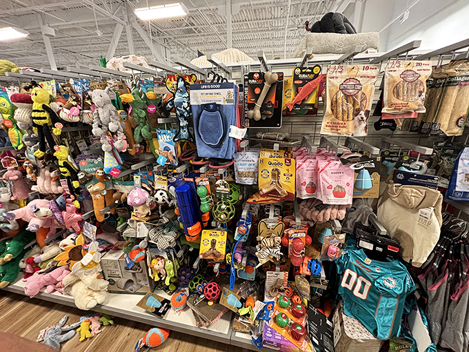 Pet toys, plushies, and playthings galore! This treasure trove of fun reminds us that sometimes the best bargains are the ones that make us smile.