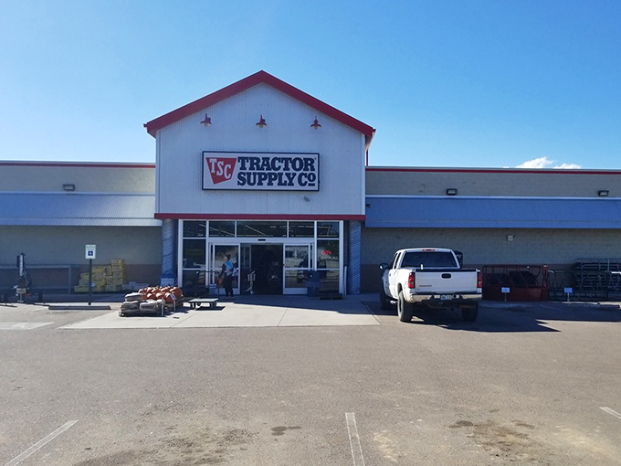 Tractor Supply Co. caters to rural needs with everything from garden supplies to pet food, embodying the practical spirit of Ca&ntilde;on City.