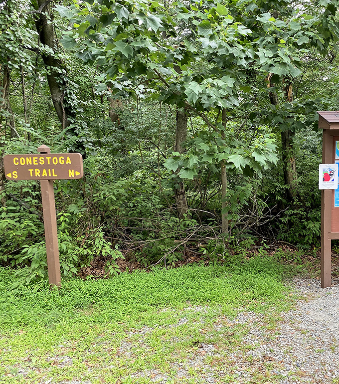The Conestoga Trail sign&mdash;where adventure begins and cell service often ends. Your legs might complain, but your soul will thank you.