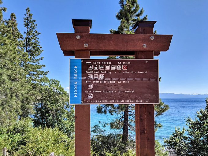 Trail signs pointing to adventure. Choose your own outdoor story, each path promising its own brand of magic.