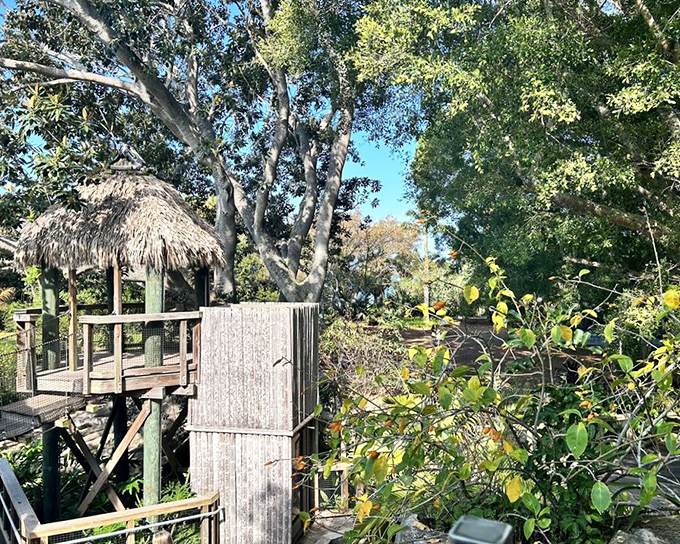This elevated treehouse viewpoint lets you play Tarzan without the loincloth or liability waiver.