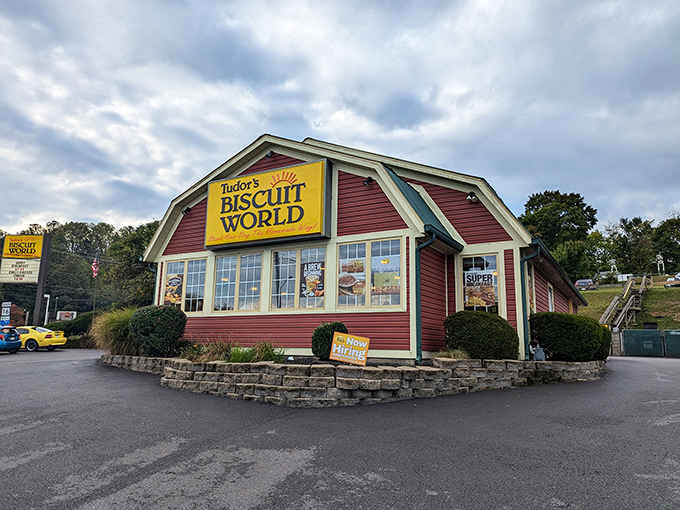 Tudor's Biscuit World stands as a beacon of breakfast hope, where carb-counting goes to die and happiness comes in buttery, flaky form.