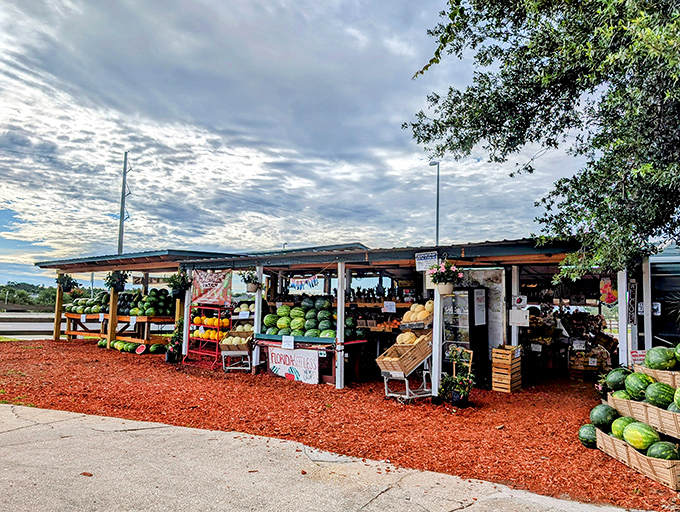 Uncle Frank's Produce Stand offers watermelons bigger than your retirement portfolio and twice as sweet as your 401(k) statements.