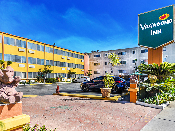 Bright yellow walls announcing this isn't your average chain motel &ndash; it's got personality and possibly some interesting stories.