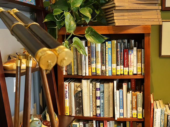 Books that have already been loved, waiting for new eyes. From bestsellers to forgotten classics, each spine holds adventures beyond their pages.