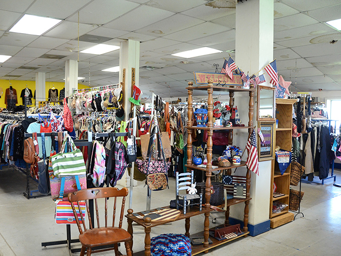 Americana on display with flags and wooden shelving creating that perfect "I discovered this" vibe collectors live for.